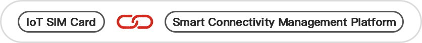 IoT SIM Card